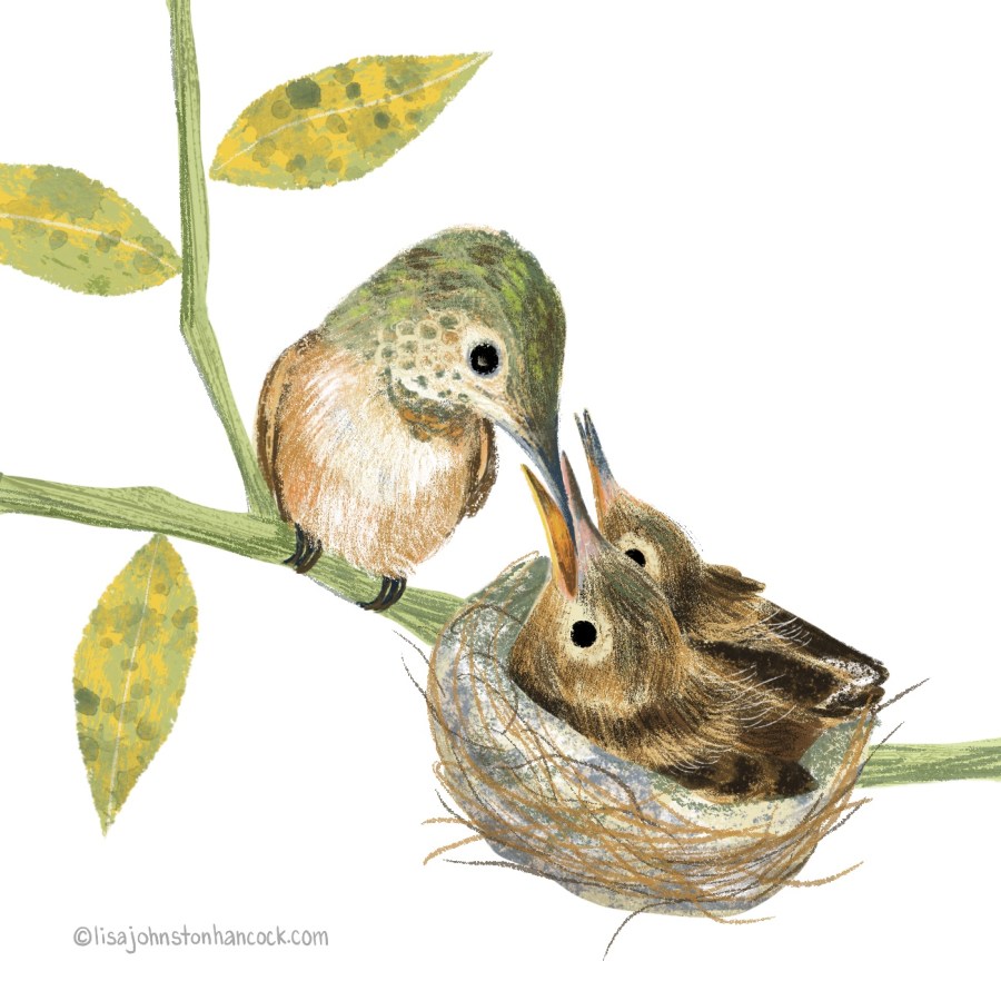 30 Birds – Lisa Johnston Hancock