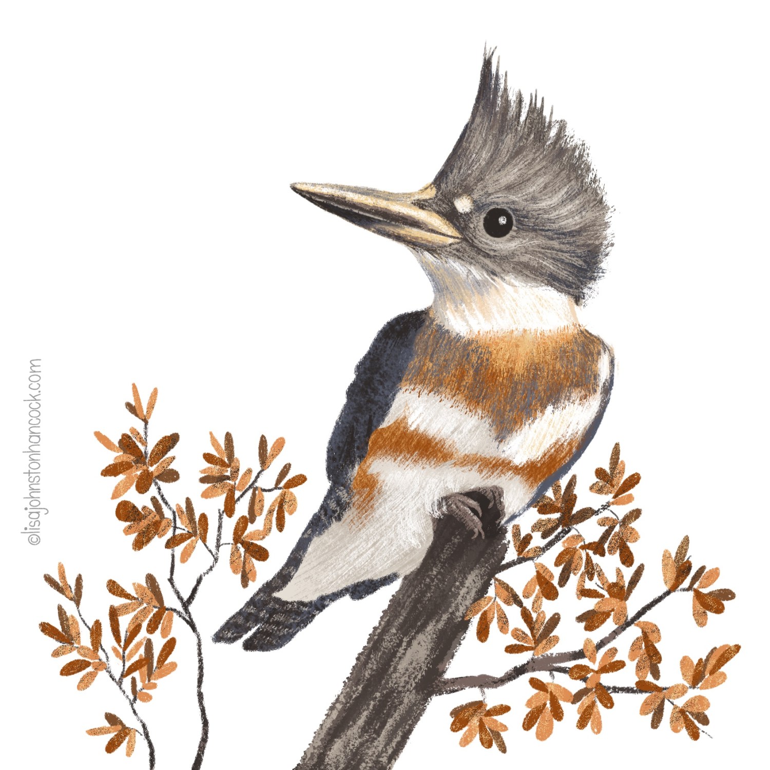 30 Birds – Lisa Johnston Hancock