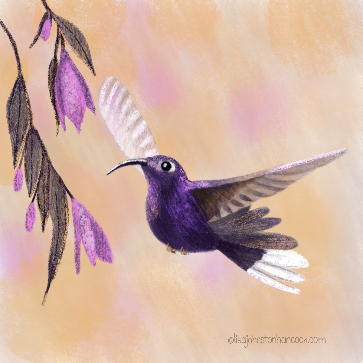 30 Birds – Lisa Johnston Hancock