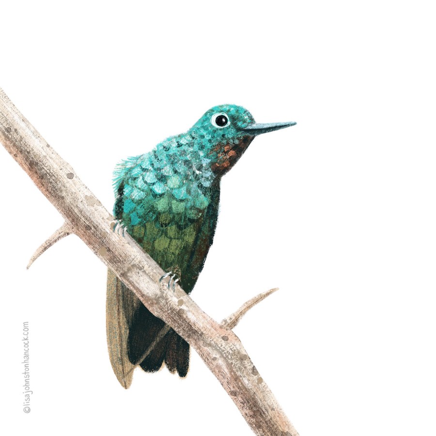 30 Birds – Lisa Johnston Hancock