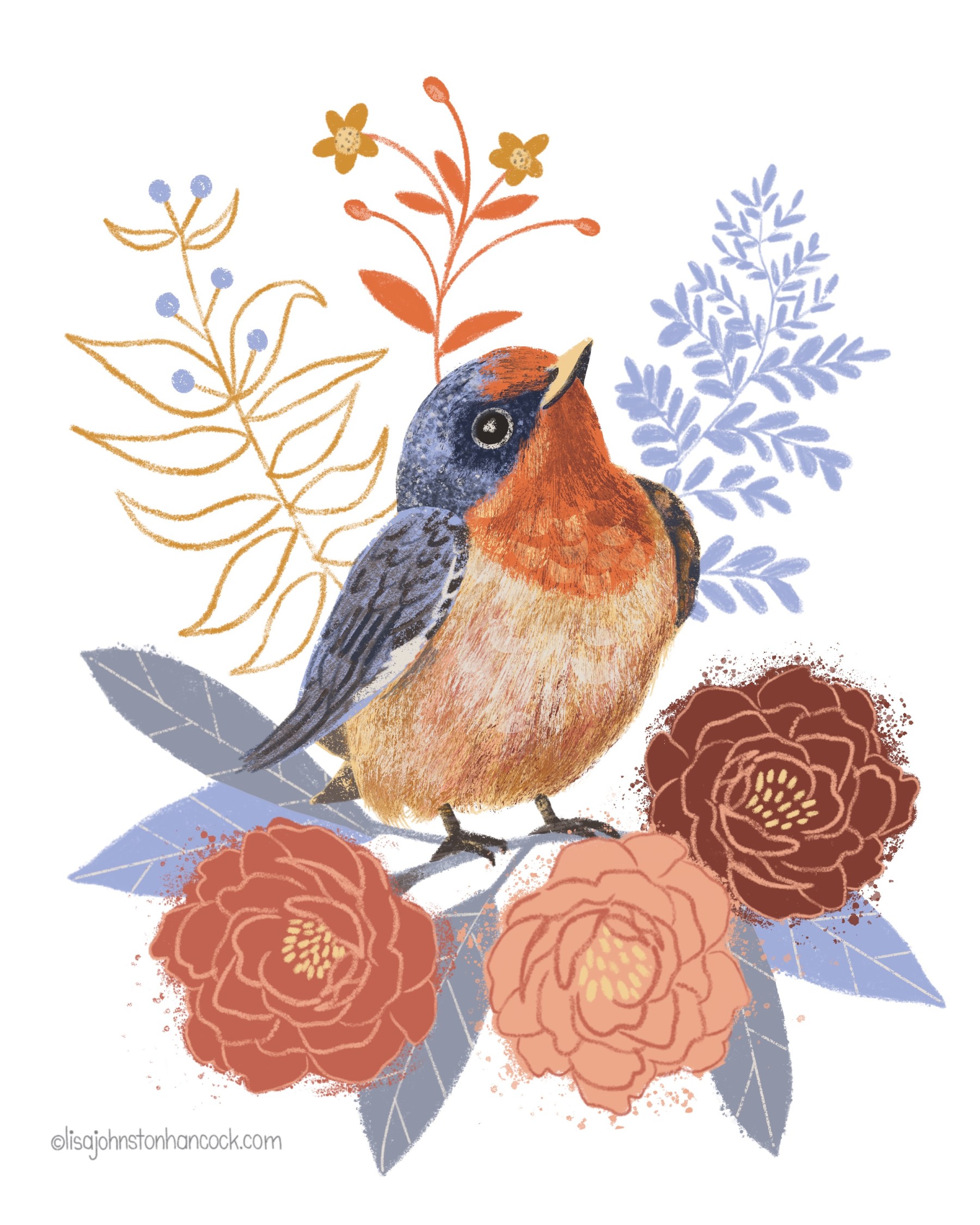 30 Birds – Lisa Johnston Hancock