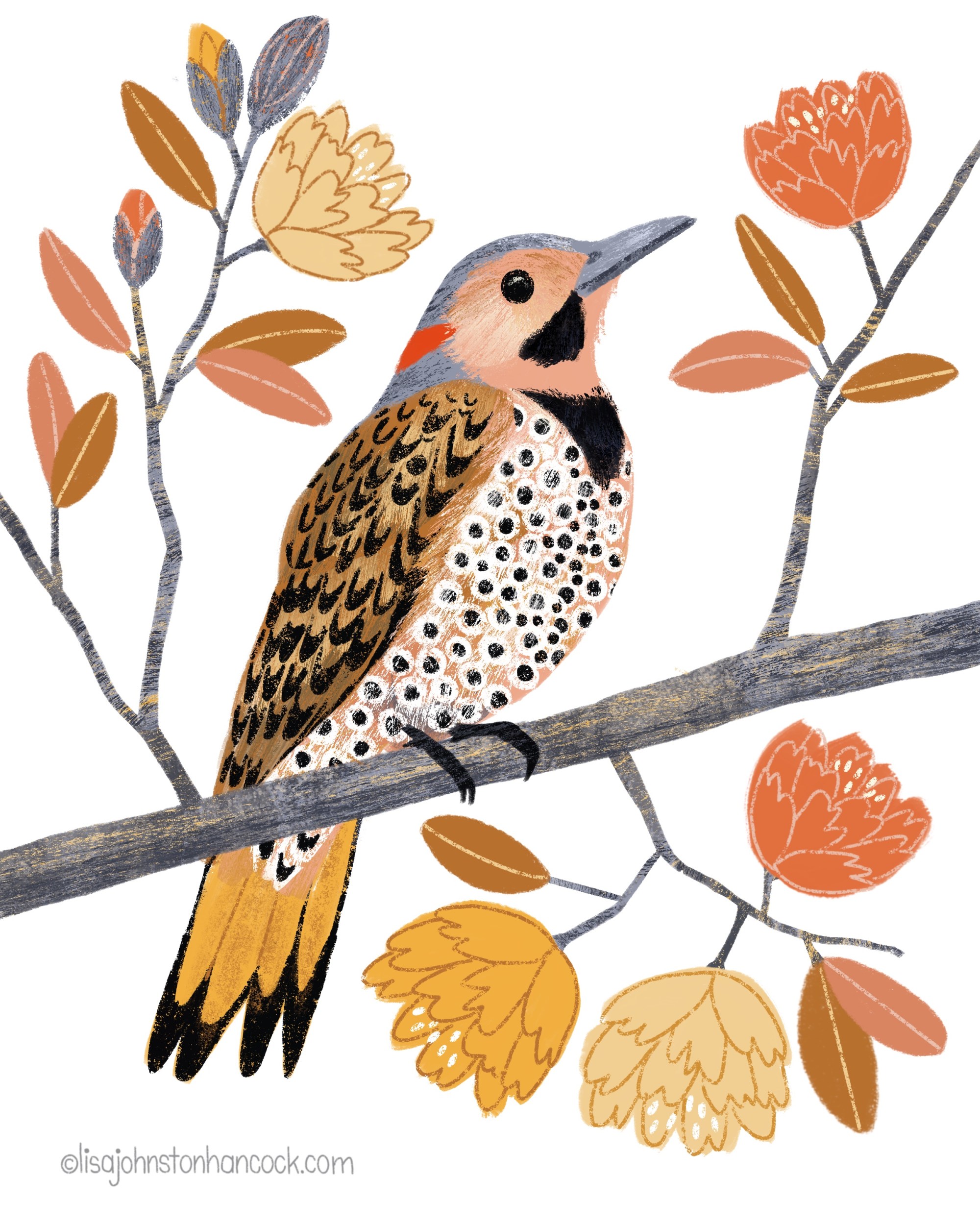 30 Birds – Lisa Johnston Hancock